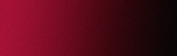 Harvard Merch: Shop the cutest Harvard Apparel Here