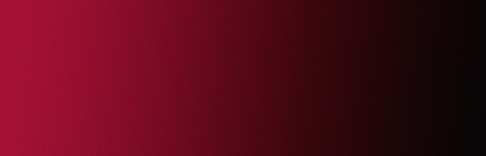 Harvard Merch: Shop the cutest Harvard Apparel Here