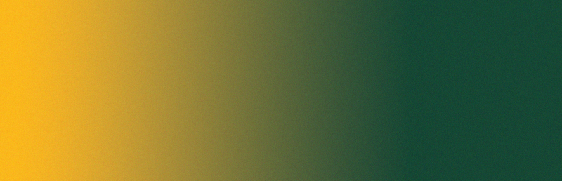 Baylor University Apparel: Shop the Cutest BU Merch Here