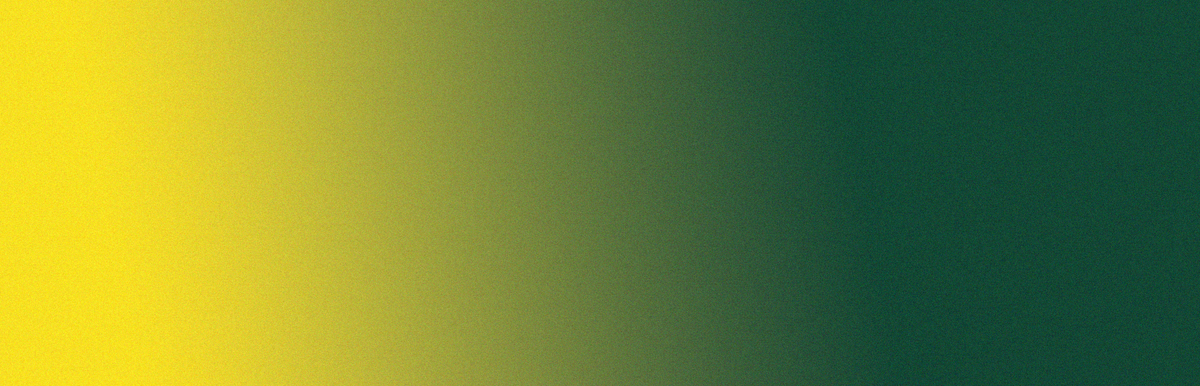 University of Oregon Apparel: Shop the Coolest UO Gear Here!