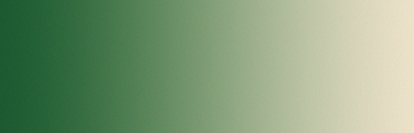 Score Big With Trendy Milwaukee Bucks Apparel - Shop Now!