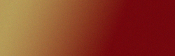 University of Elon Apparel: Shop the Coolest Elon Gear Here!