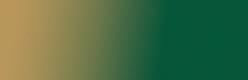 UNC Charlotte Sweatpants - Get Cute & Comfy UNCC Outfits